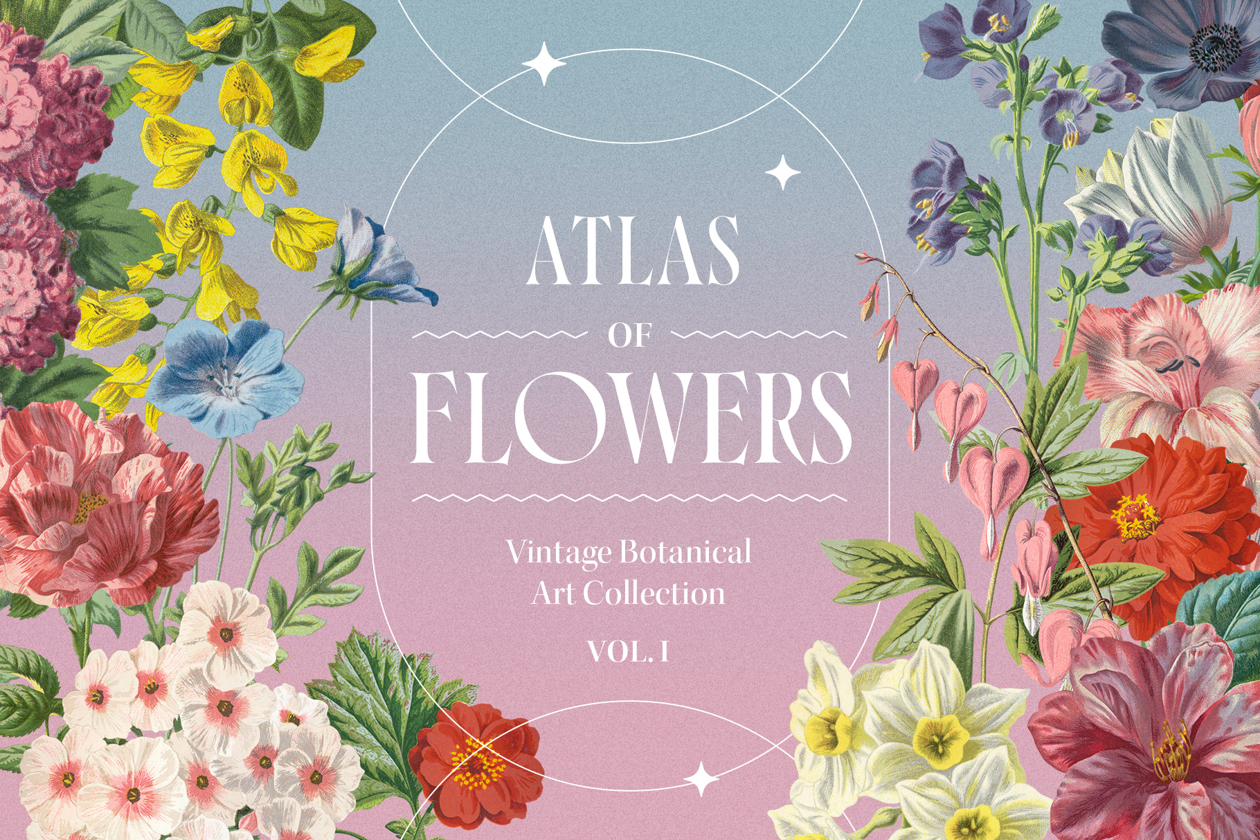 Atlas Of Flowers Vintage Botanical Art Set Graphic Goods